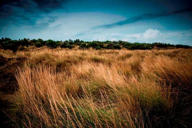 The Top 10 Things To See And Do In Lido Venice | Culture Trip