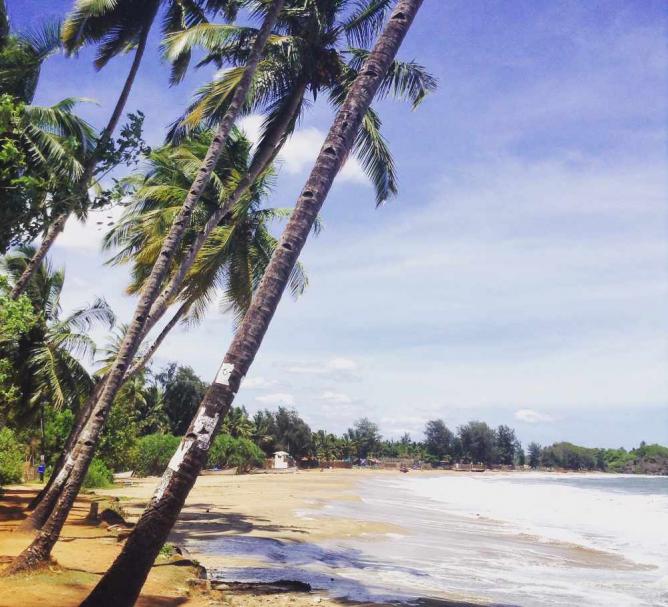 The Top 10 Things To See And Do In Palolem Beach, Goa