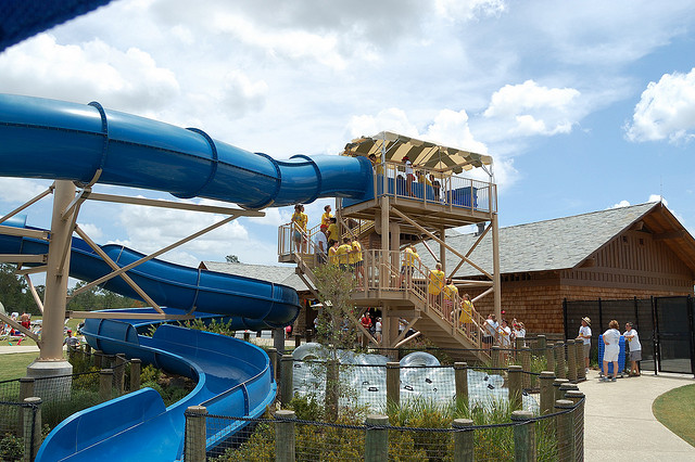 Woodlands Community Pool Photos Of Texas