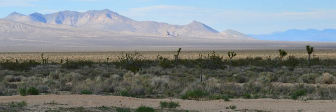 Top Desert Day Trips In Los Angeles, California