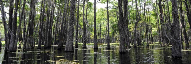 10 Most Beautiful Towns And Small Cities In Louisiana, USA