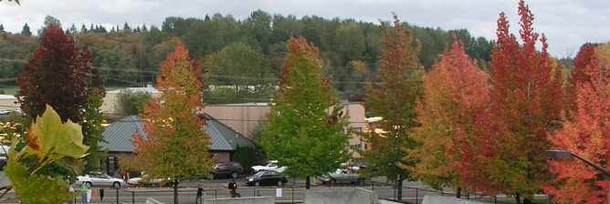 Top 10 Restaurants In Tigard, Oregon