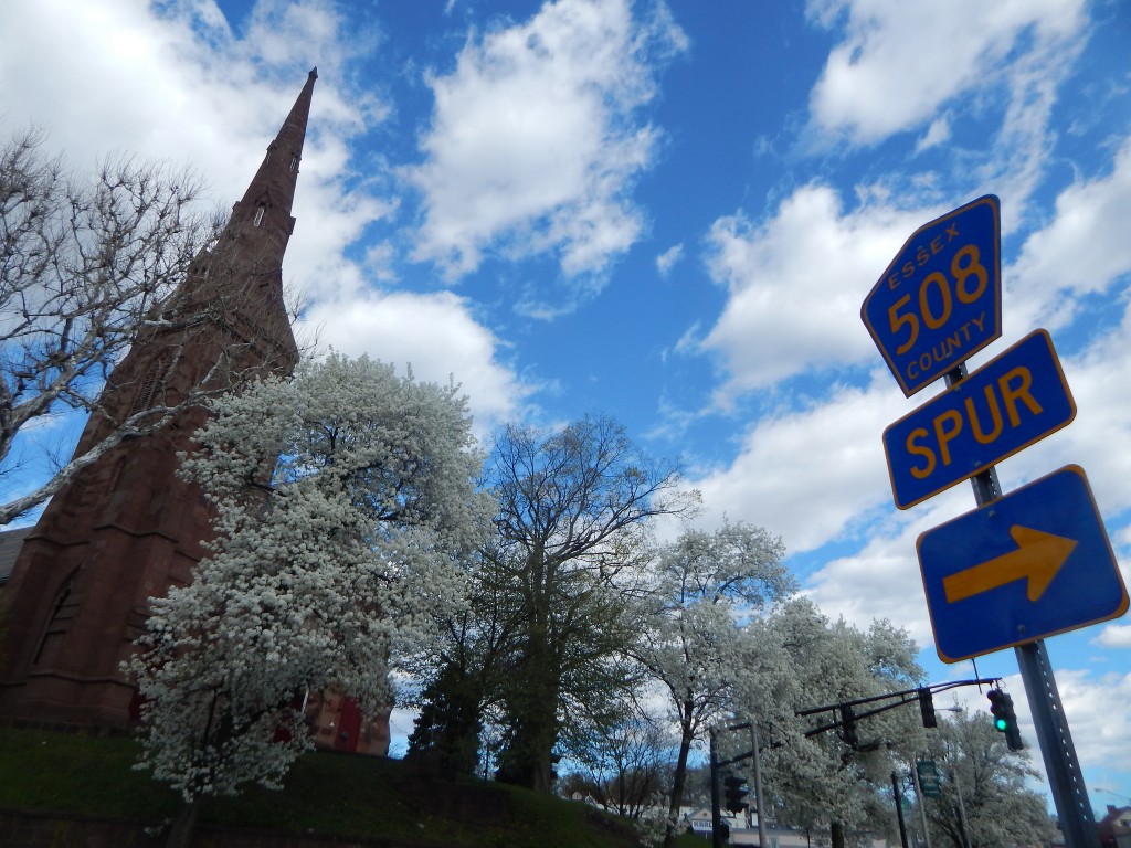 Top 10 Restaurants In West Orange New Jersey top-10-restaurants-in-west-orange-new-jersey