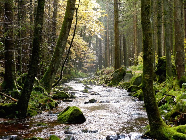The 10 Most Beautiful Spots in Germany's Black Forest