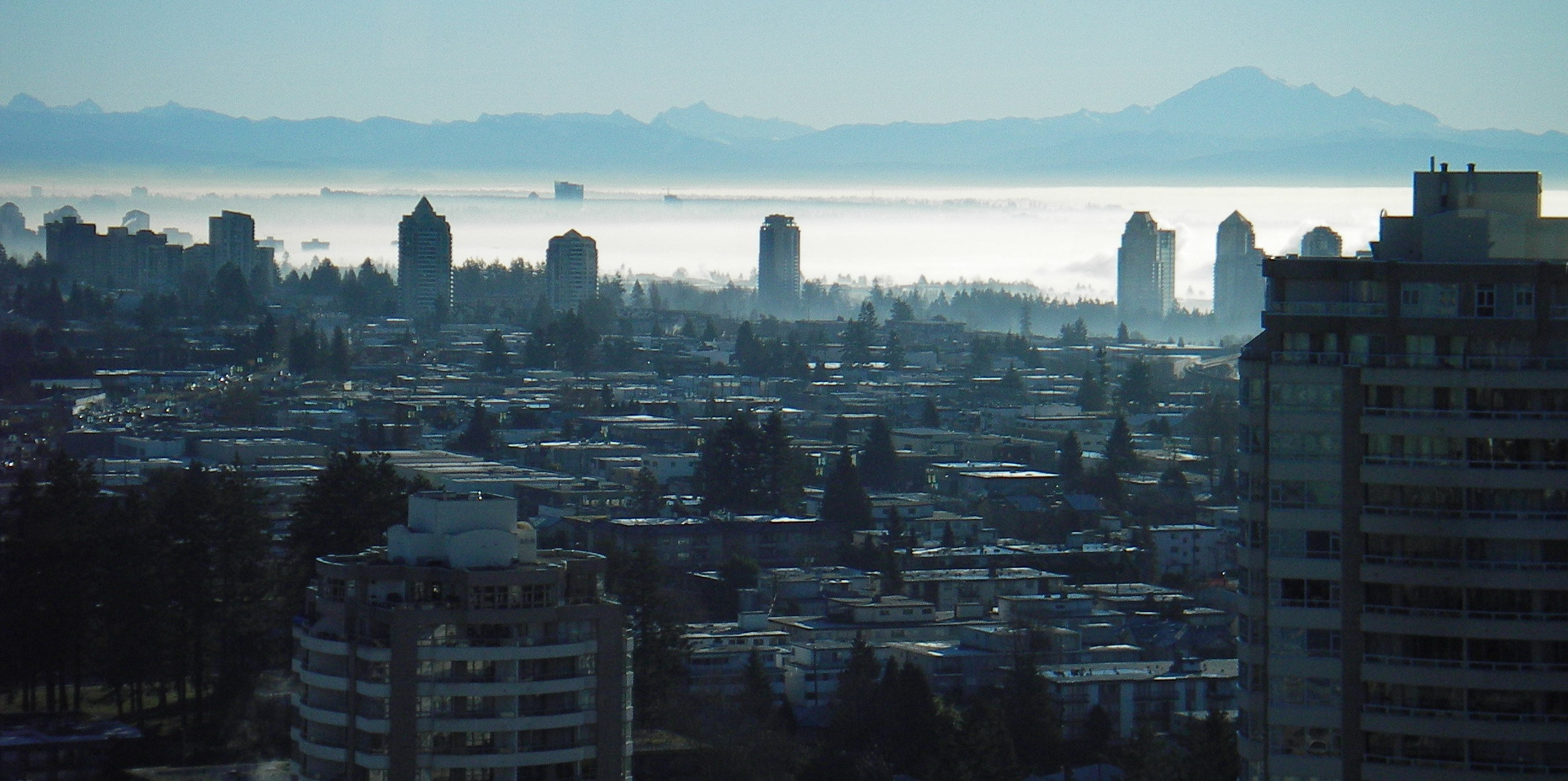 Top 10 Restaurants In Surrey British Columbia Top 10 Restaurants In Surrey British Columbia