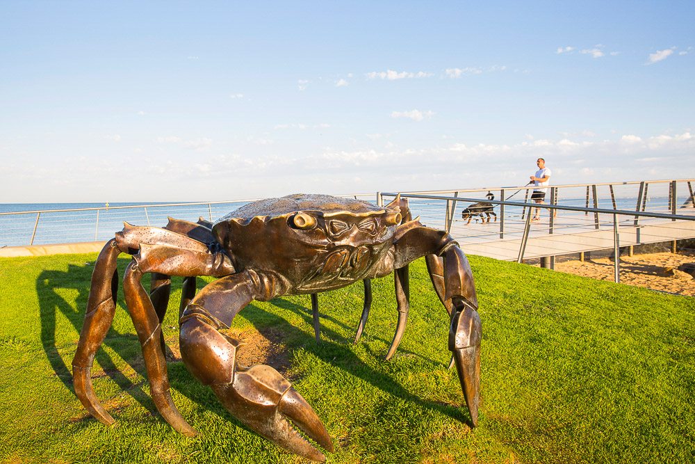 10 Awesome Things To Do & See In Frankston