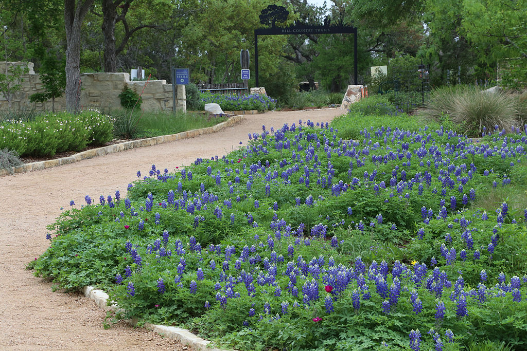 10 Beautiful Gardens Of Austin, Texas