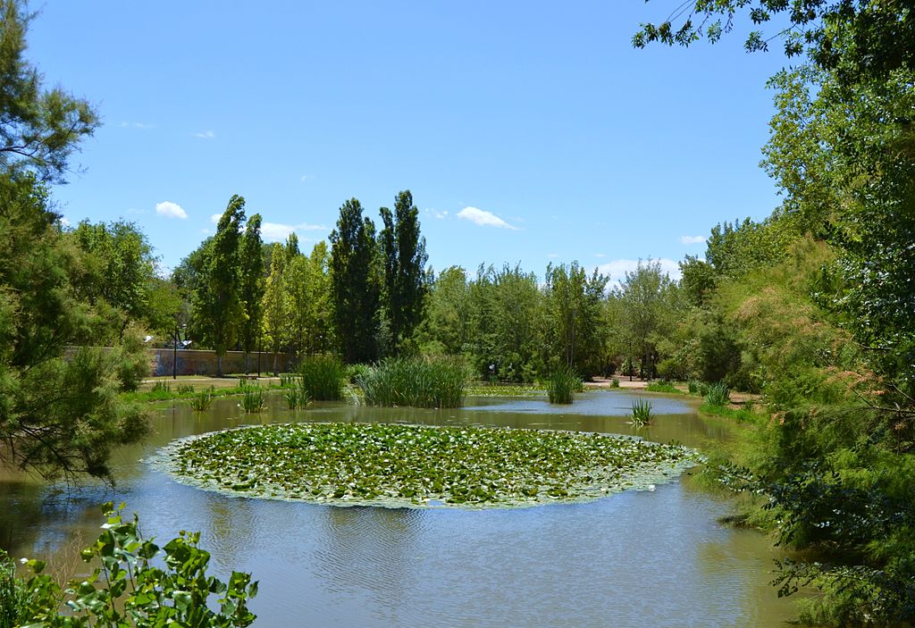 The Most Beautiful Parks And Gardens In Valencia