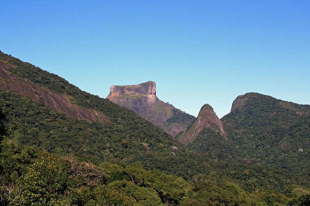 A Guide To Exploring Tijuca Forest, Rio De Janeiro