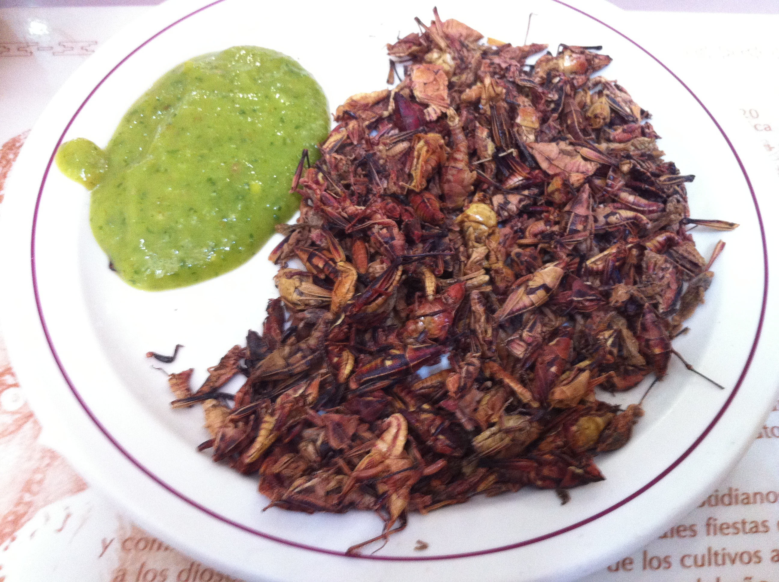 The Best Places To Try Edible Insects In Mexico City