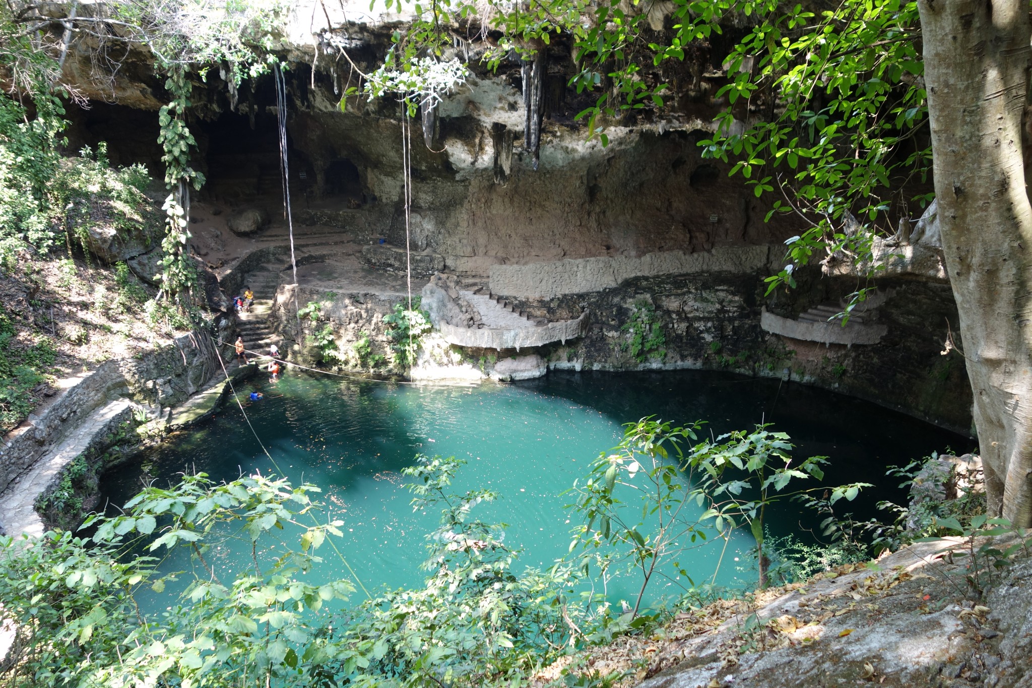 10 Beautiful Cenotes You Have To See In Mexico