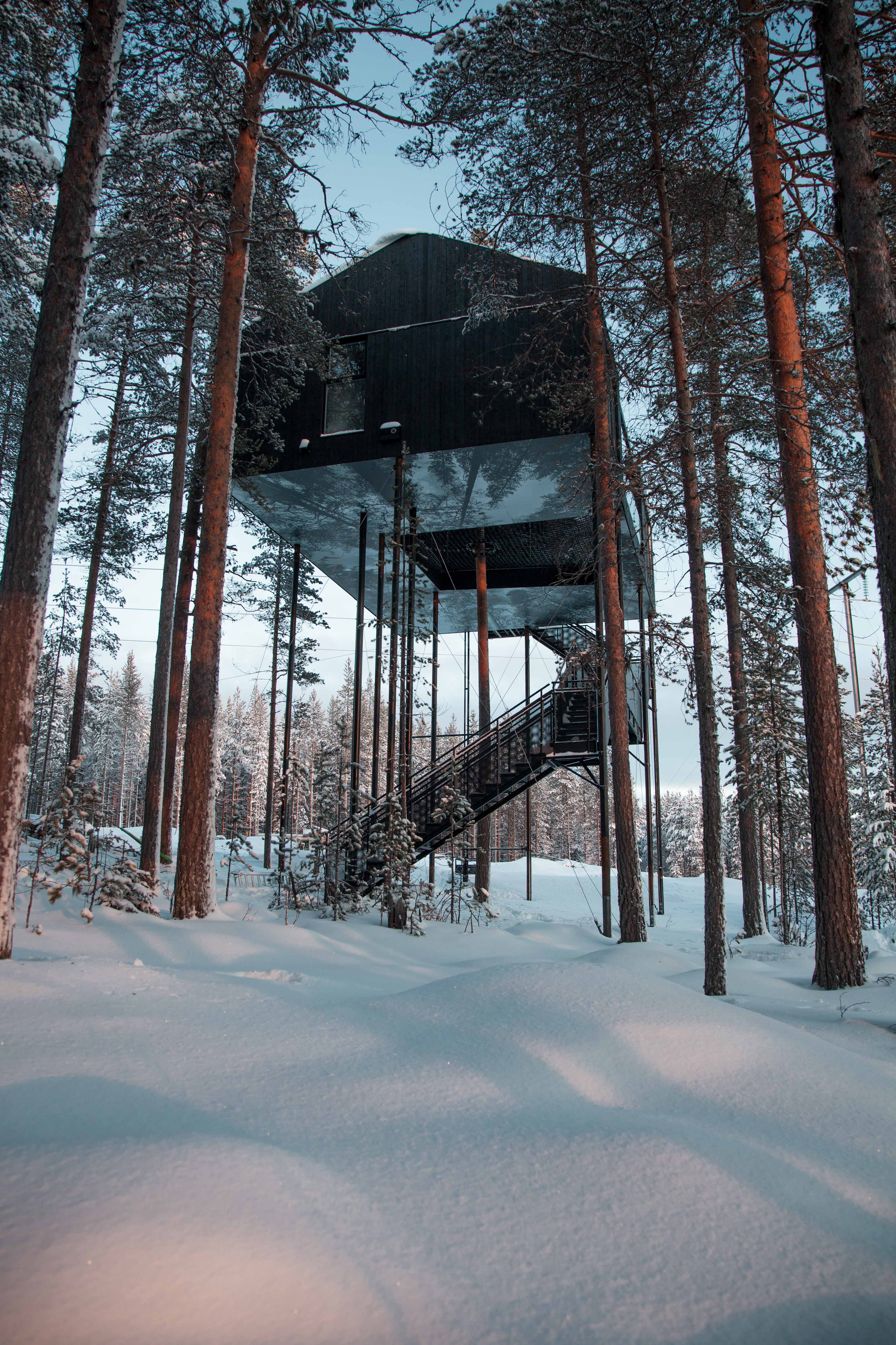 Treehouse Luxury Hotel : r/pics