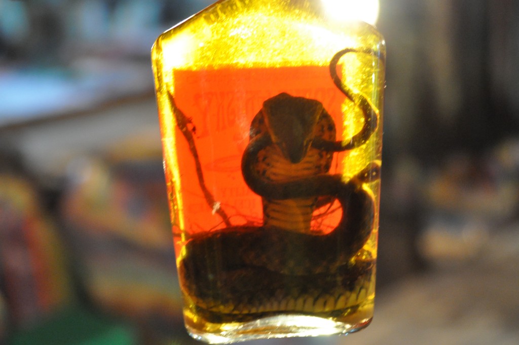A Brief Introduction to Snake Wine