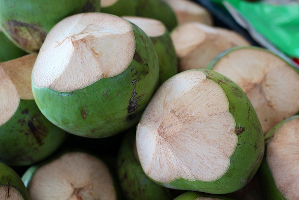 10 Traditional Foods You Have to Try in Costa Rica
