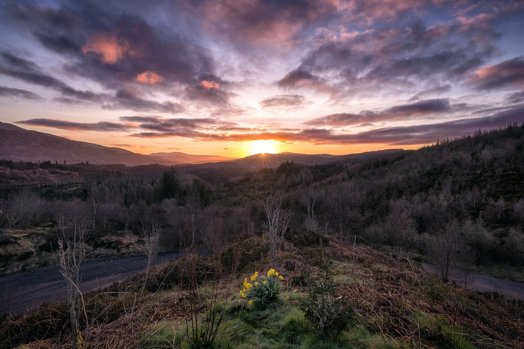 23 Reasons to Visit Scotland in the Spring