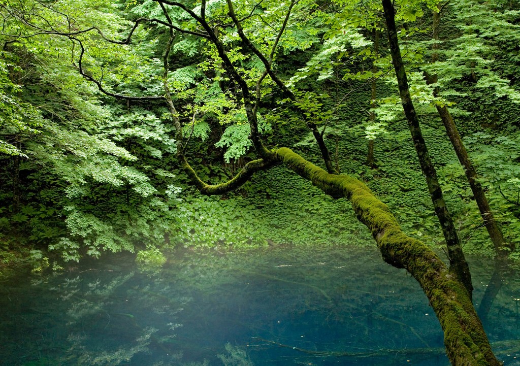 12 Reasons Northern Honshu Is an Adventure Traveler’s Paradise