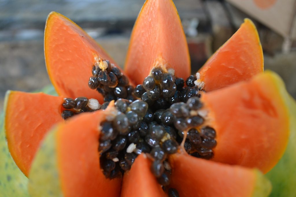 Top 10 Fruity Foods You Need to Try in the Bahamas