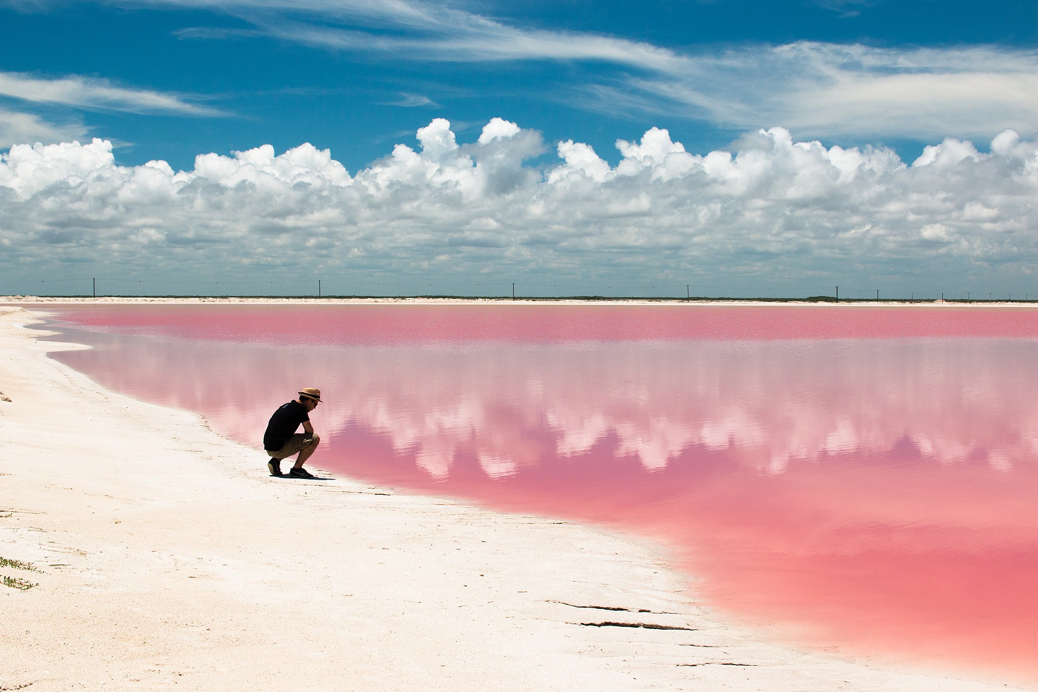 Las Coloradas: A Guide to Mexico’s Magical Pink Lagoon