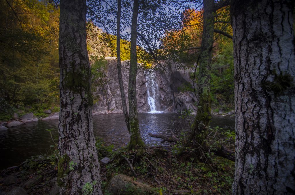 The Most Enchanting Forests in Greece