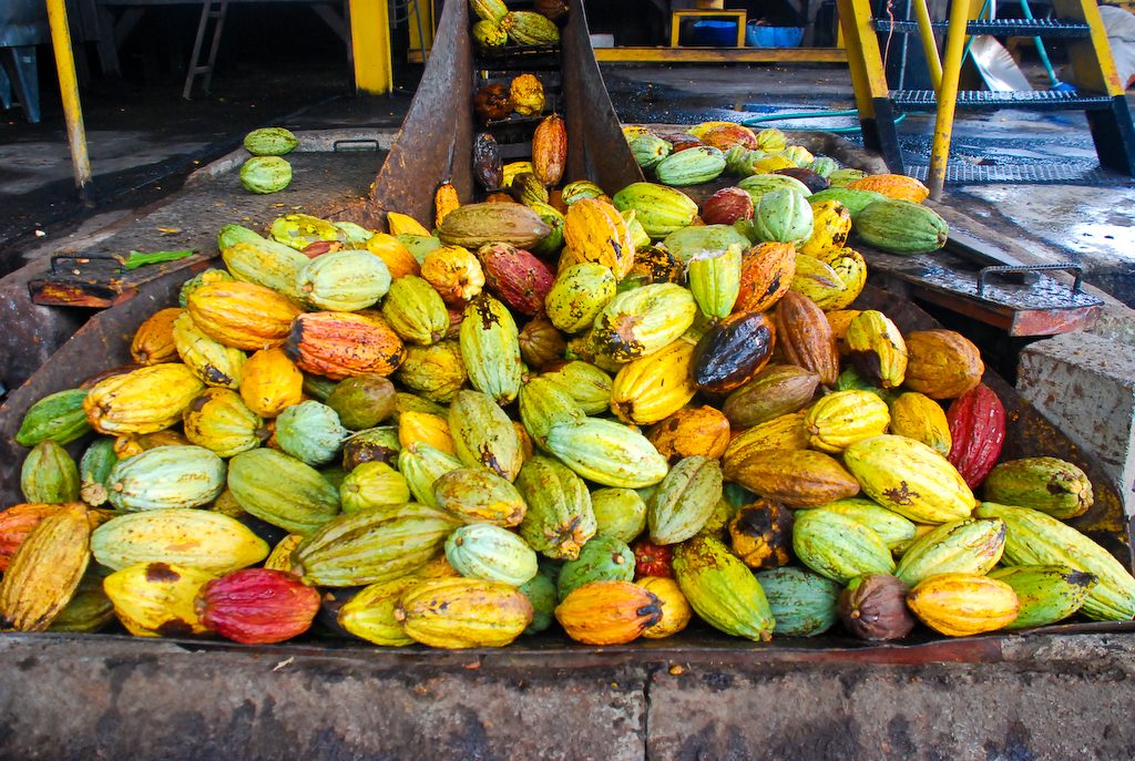 10 Things to See and Do on Costa Rica's Caribbean Coast