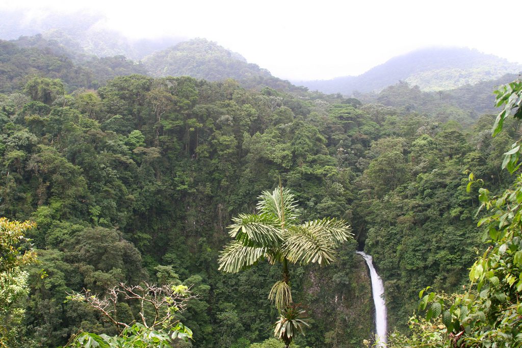 What to Know About Costa Rica's 12 Different Ecosystems