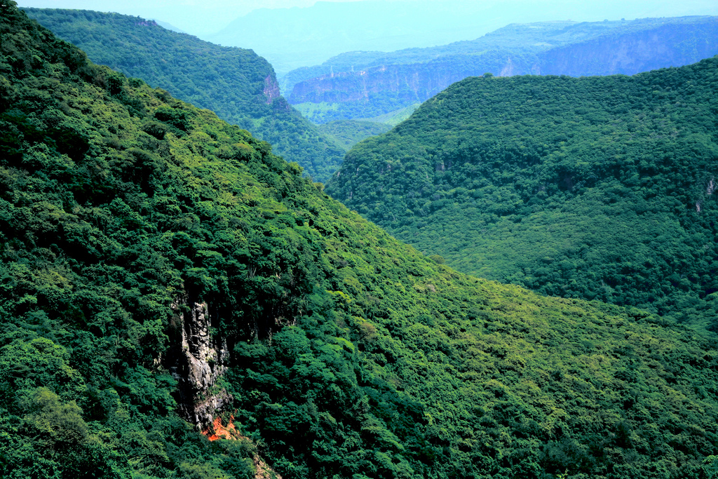 The Most Beautiful Parks and Gardens in Guadalajara, Mexico