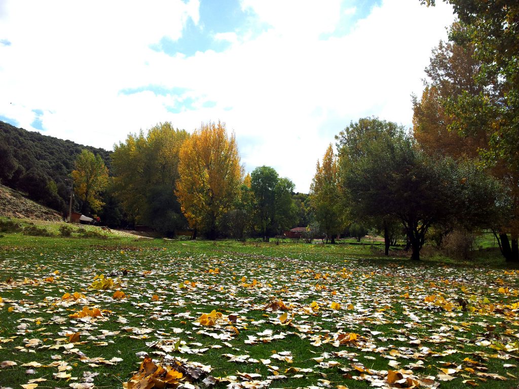 10 Top Things to Do in Ifrane