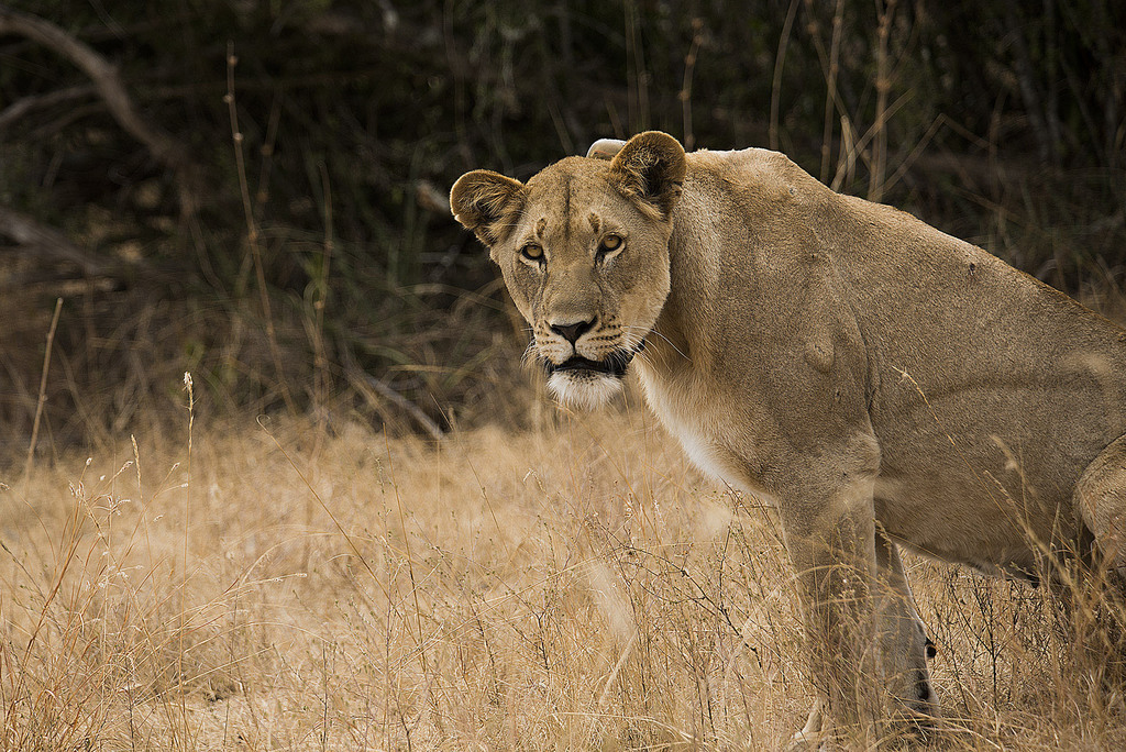 9 Breathtaking Natural Landscapes in Rwanda | Volcanoes Safaris