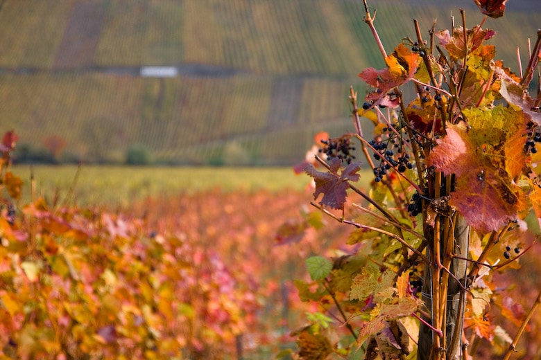 The Most Beautiful Locations to Visit in Germany This Fall