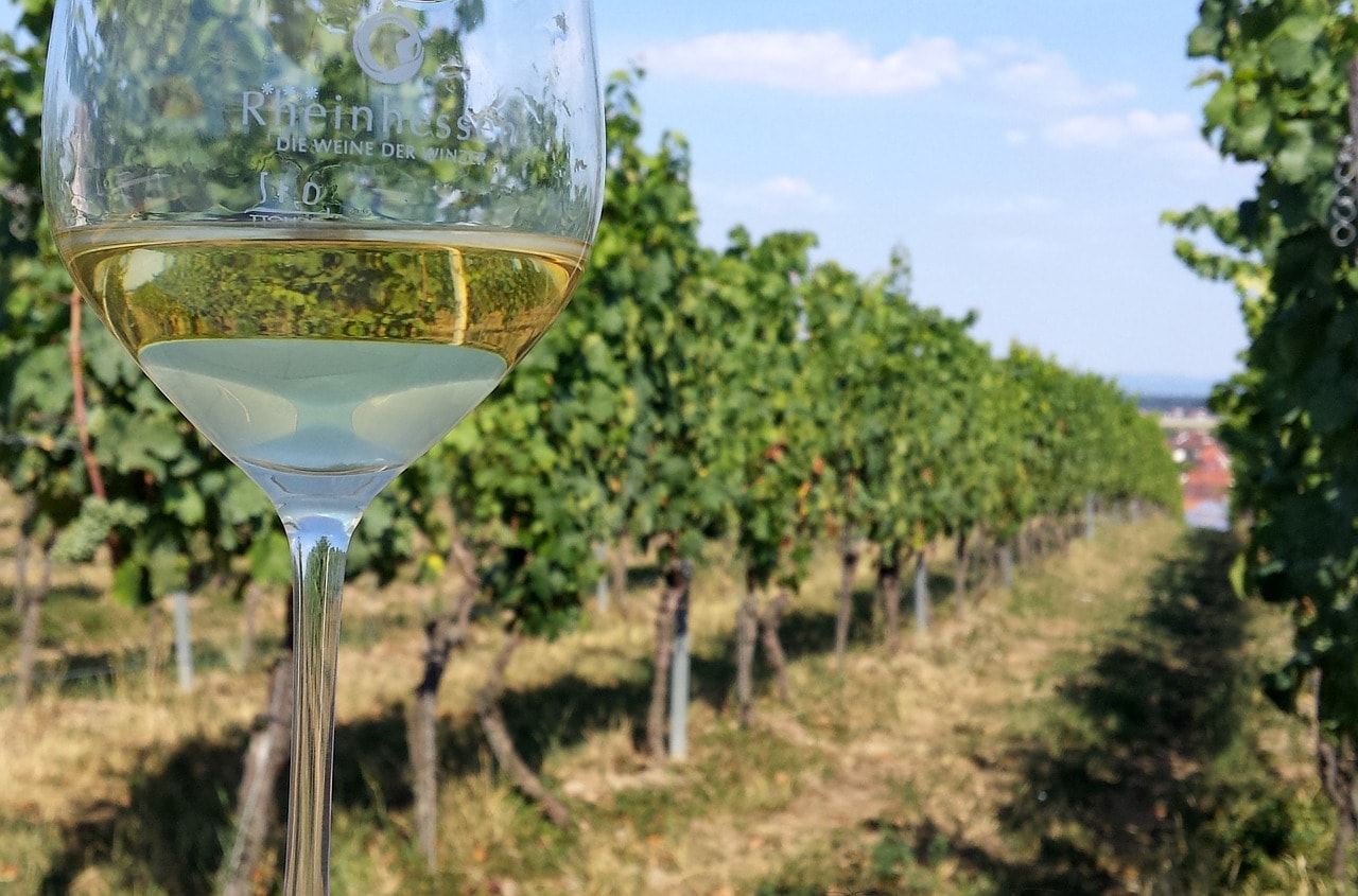 The Best Wine Regions to Visit in Germany