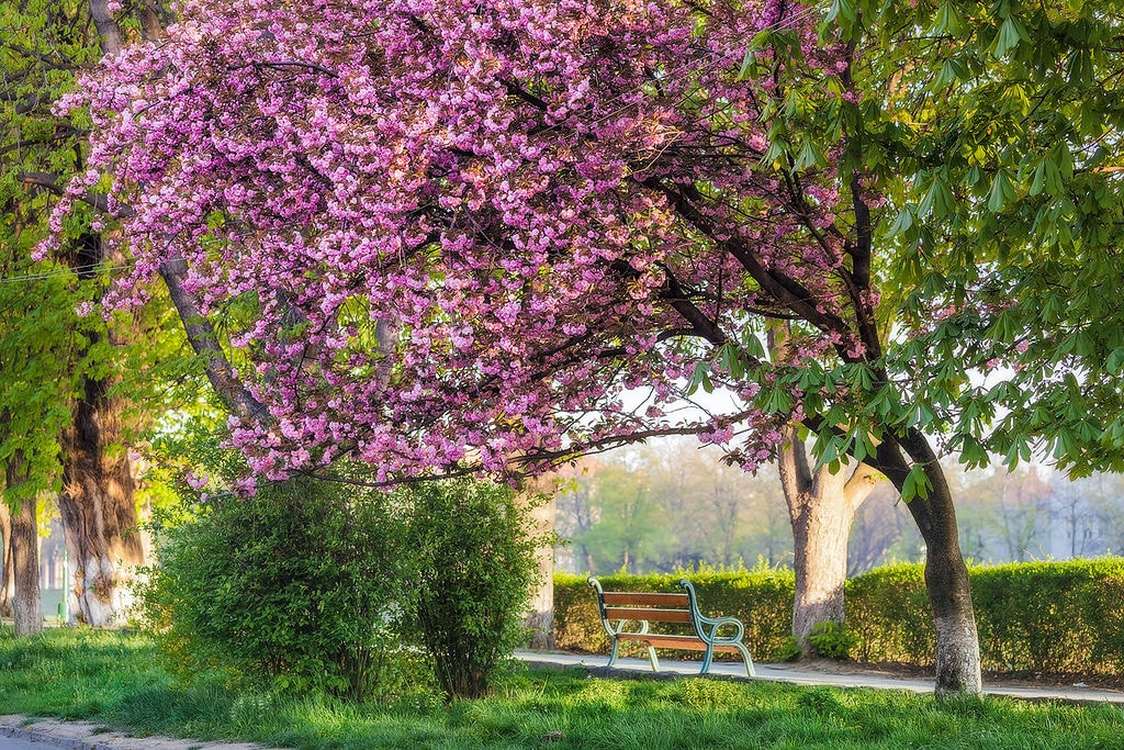 The Top 20 Attractions in Ukraine