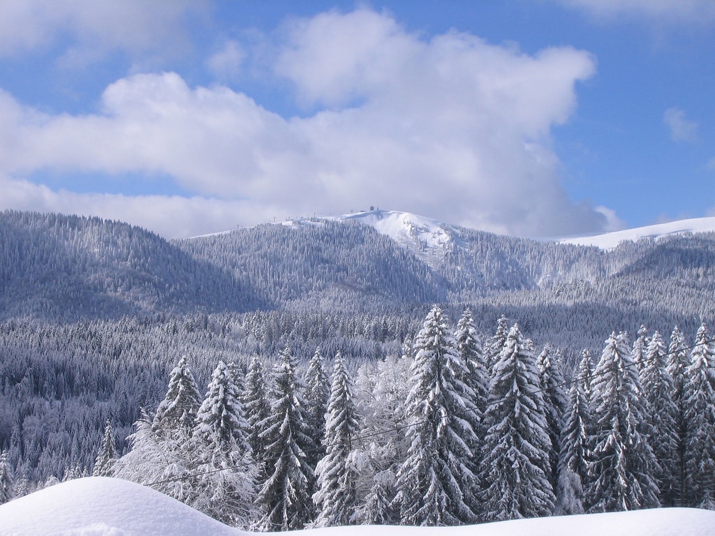 20 Must-Visit Attractions in the Black Forest