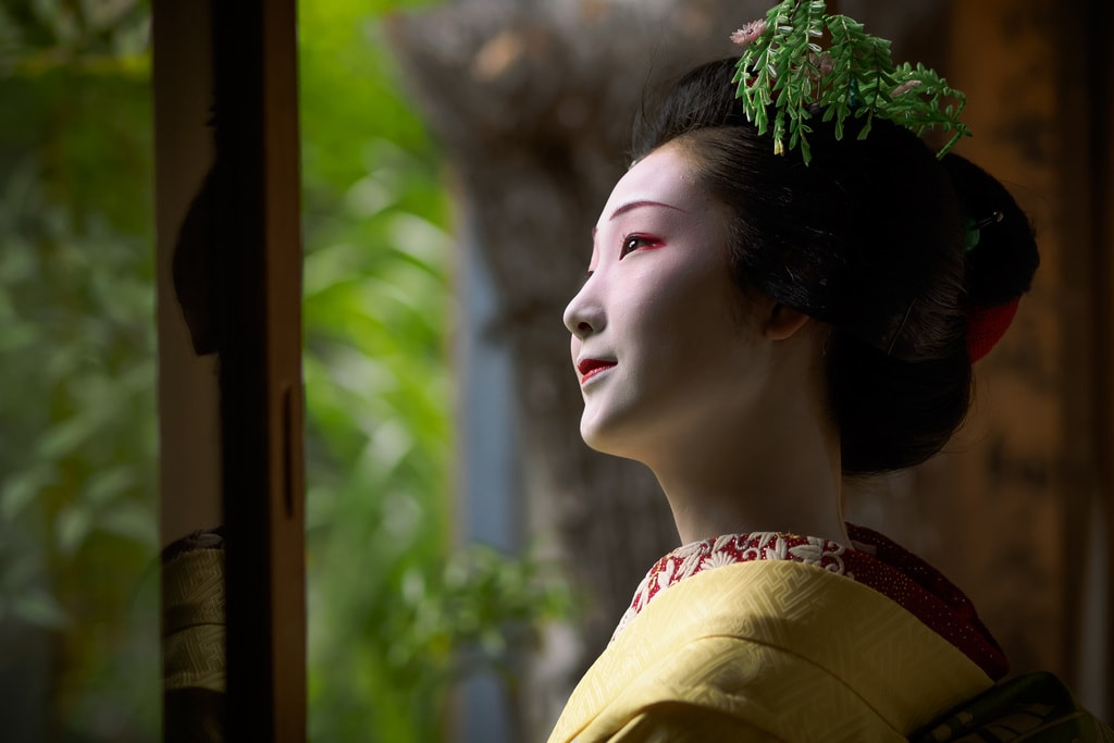 Maiko: Inside the Life of an Apprentice Geisha