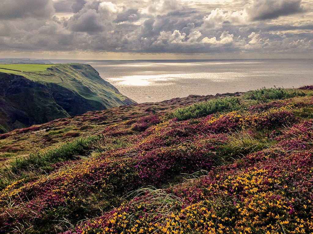 The Most Beautiful Places to See Autumn Leaves in Cornwall