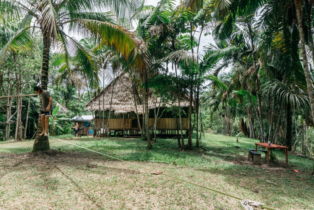 16 Reasons Why Exploring the Amazon Rainforest Is the Trip of a Lifetime