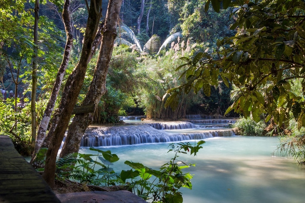 21 Photos That Show Laos Has The Most Beautiful Jungles on Earth