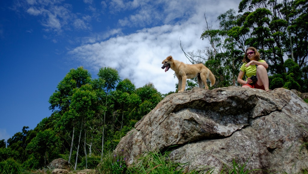 The Best Hiking and Trekking Trails in Sri Lanka