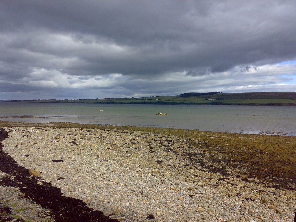 Where to Go Seal-Spotting in Scotland