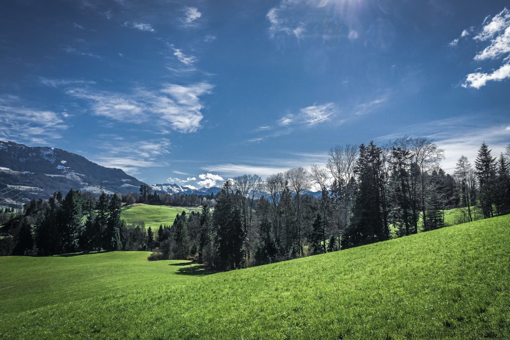 The Best Things to Experience in Switzerland in Spring