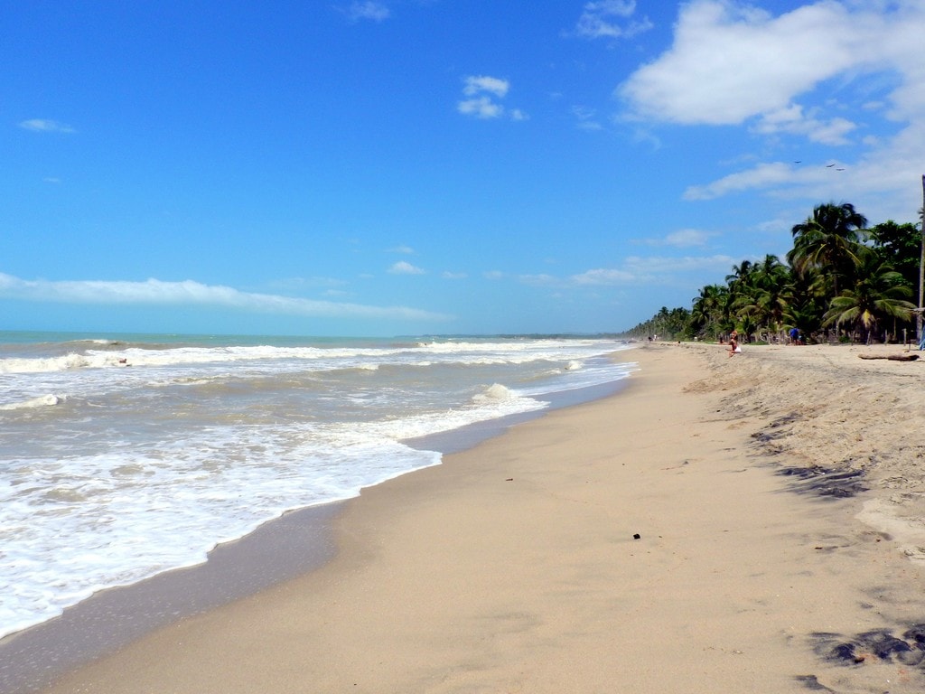 11 Reasons Why You Should Visit Palomino at Least Once in Your Lifetime