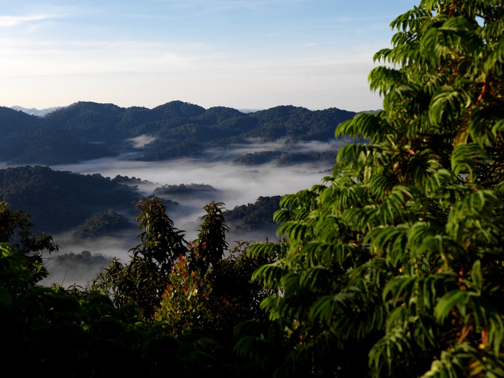 The Top Beautiful Travel Destinations In Rwanda | Culture Trip