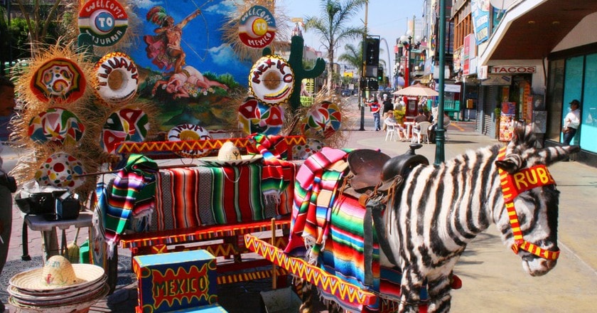 Scientists plan to bring back the Tasmanian Tiger which has been ...