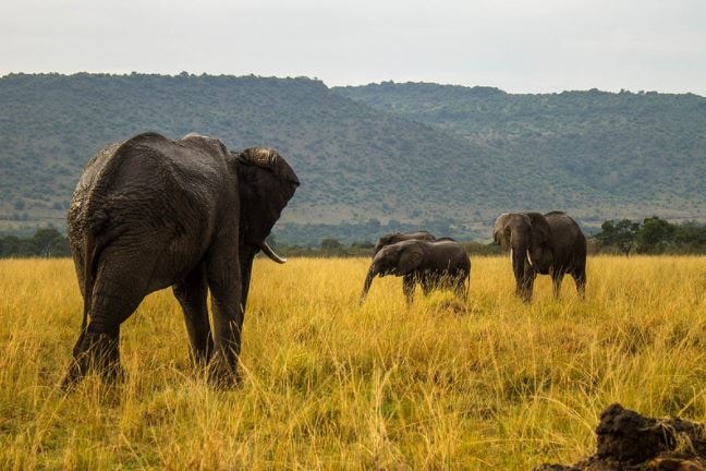 11 Breathtaking Natural Landscapes in Kenya