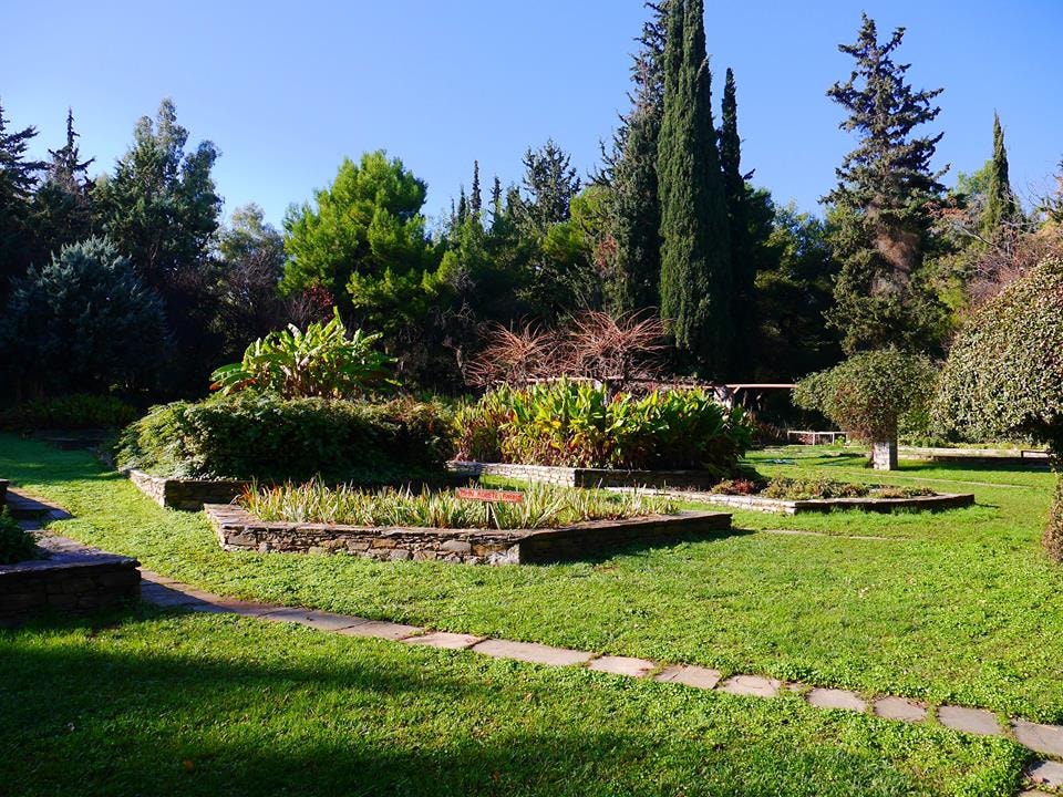 Athens' Botanical Garden is the City's Hidden Paradise