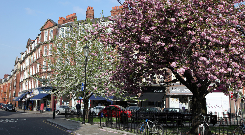 The Top 9 Things to Do in Chelsea London | Culture Trip