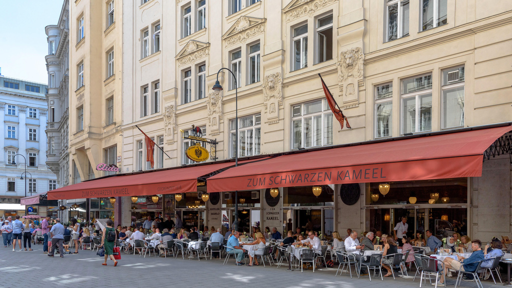 An Expert’s Guide to the Best Bars in Vienna