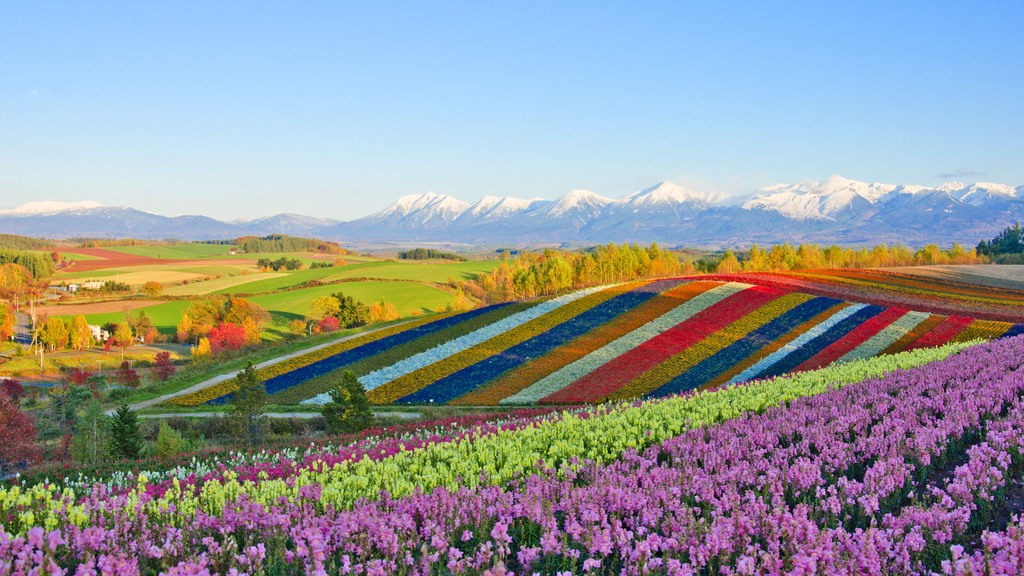 A Season-by-Season Guide to Things to Do in Furano