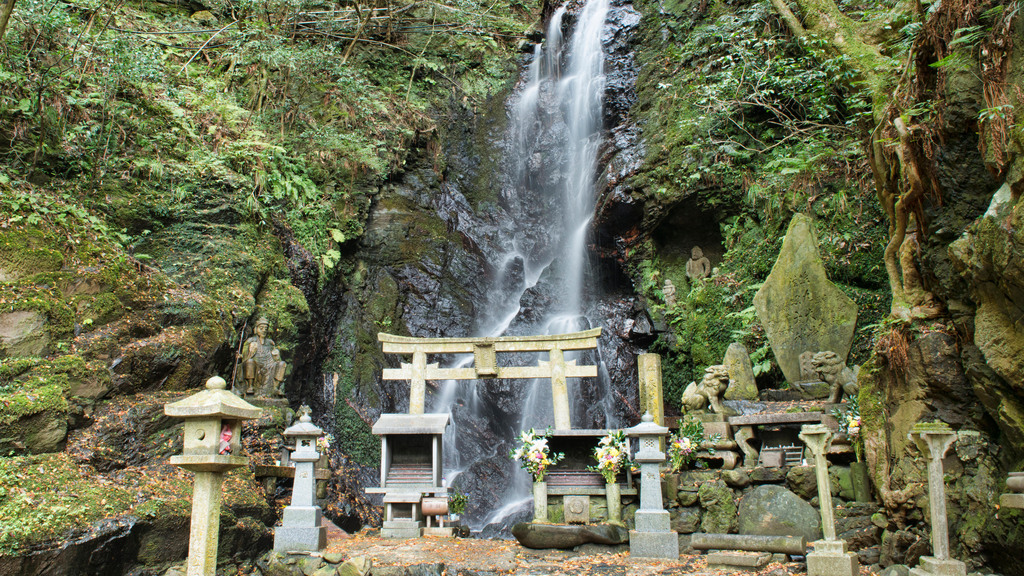 Where to Find the Best Waterfalls in Kyoto Prefecture
