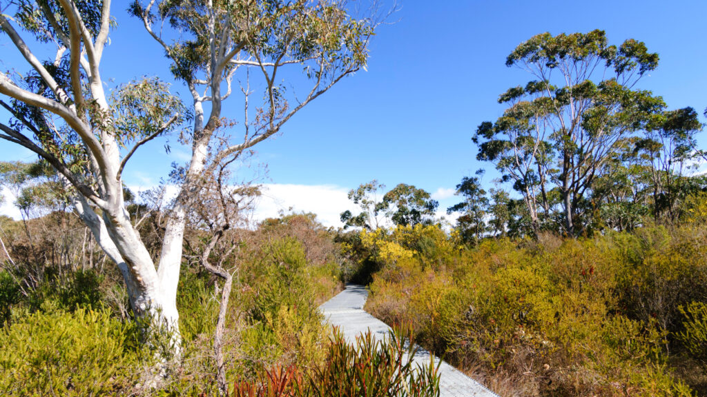 Must Visit National Parks Near Sydney must-visit-national-parks-near-sydney