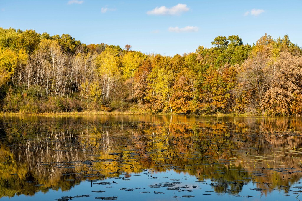 Top Restaurants in Eden Prairie MN The Best... | Culture Trip